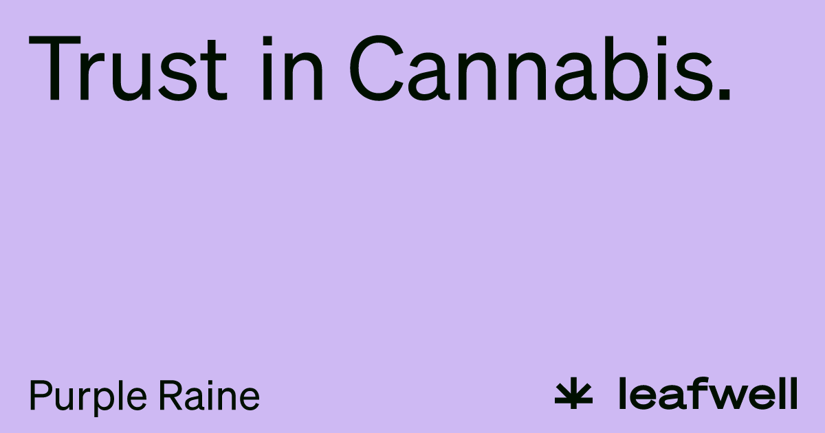Purple Raine Marijuana Strain, AKA Purple Rain - Leafwell